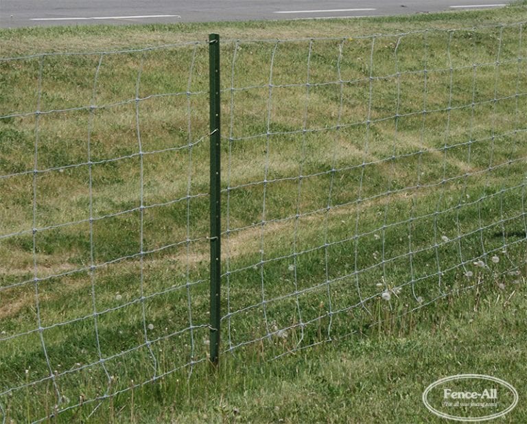 T-Posts | Products | Fence All | Ottawa, ON
